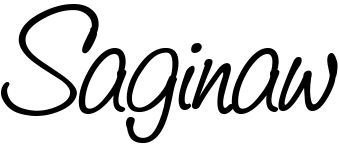 Saginaw - Abstract Fonts - Download Free Fonts